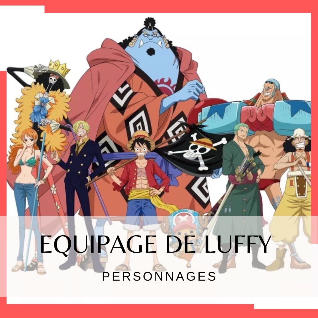 Les personnages de l'équipage de Chapeau de Paille - Otaku Level 10